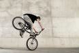 BMX Racing Bikes vs. BMX Trick Bikes - What Is The Best Choice?