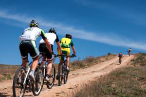 The 5 Types of Mountain Bikes You Need to Know