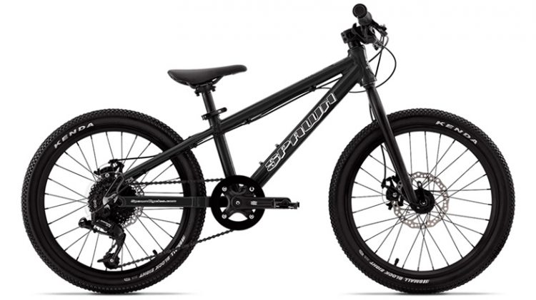 12 Best 20-inch Mountain Bikes for Kids