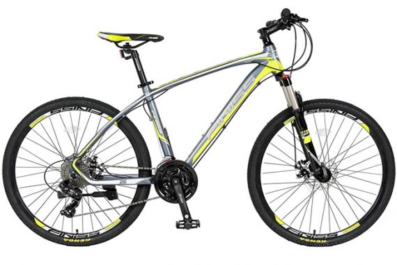 12 Best Mountain Bikes Under $300