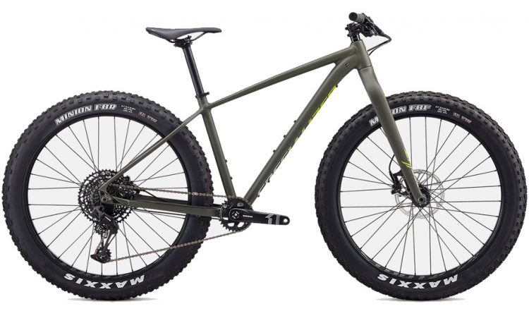 15 Best Fat Tire Bikes - Reviewed and Ranked 2024